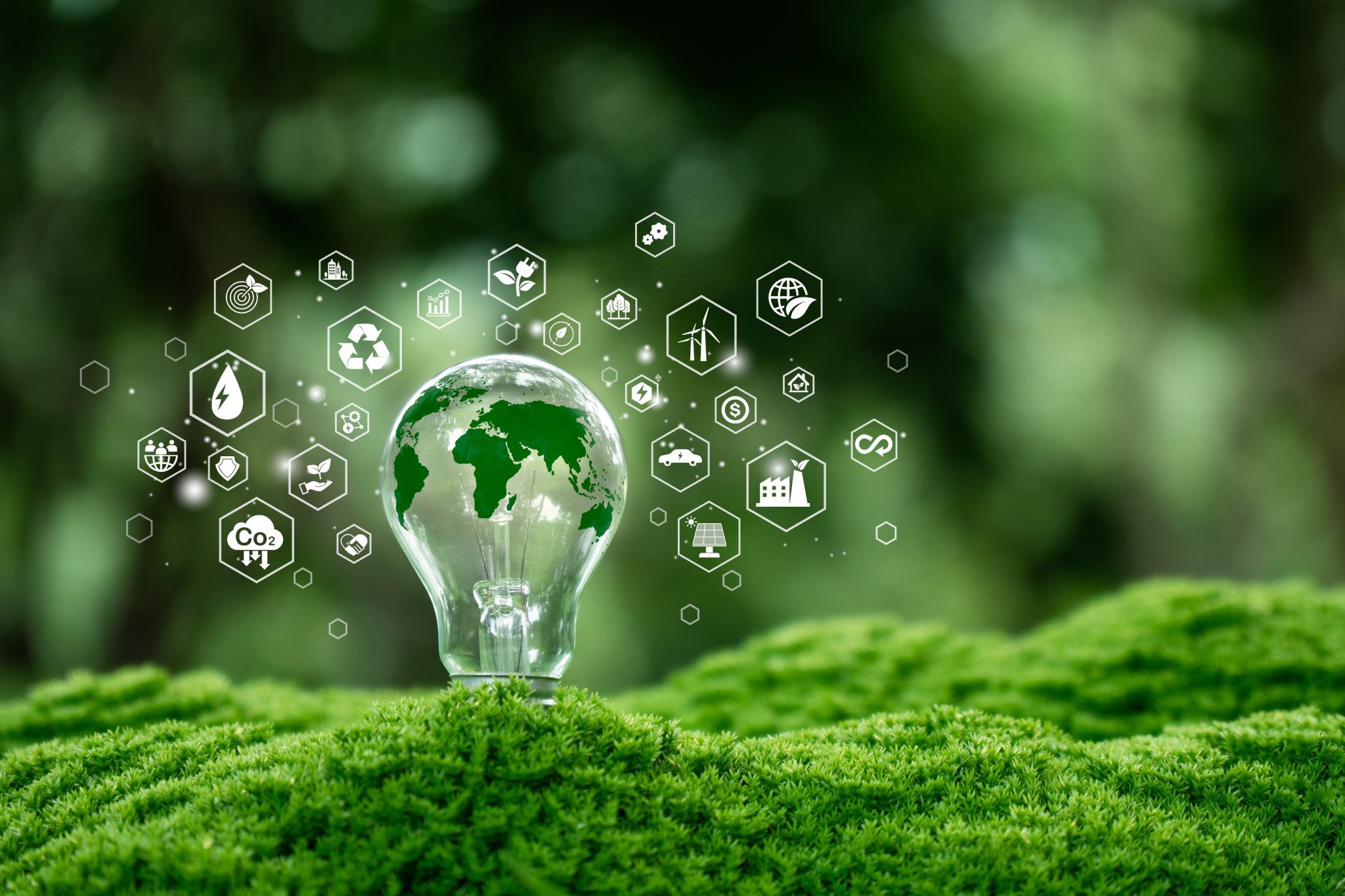 Green Incentives and Environmental Funding